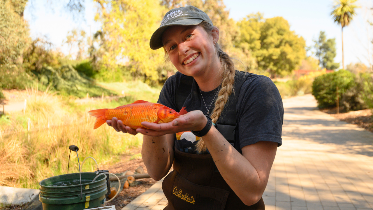 What Can You Do With a Wildlife Biology Degree? | UC Davis